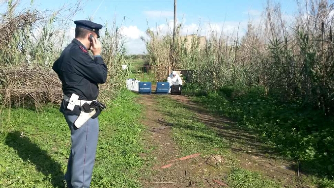 Loris ucciso con una fascetta di plastica Sopralluogo della polizia con ...