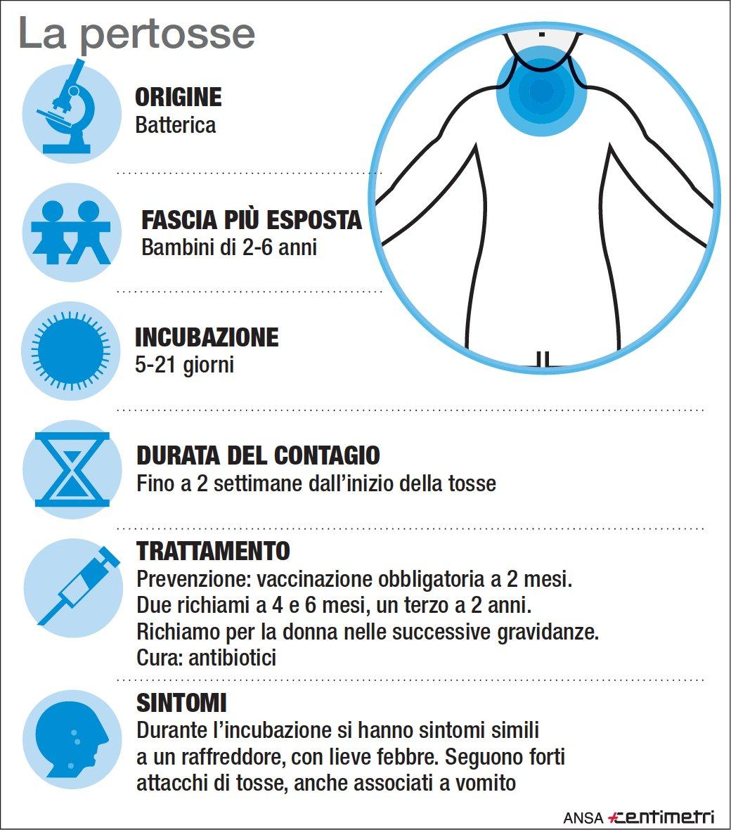 Pertosse, sintomi e trattamenti - Infografica Tgcom24